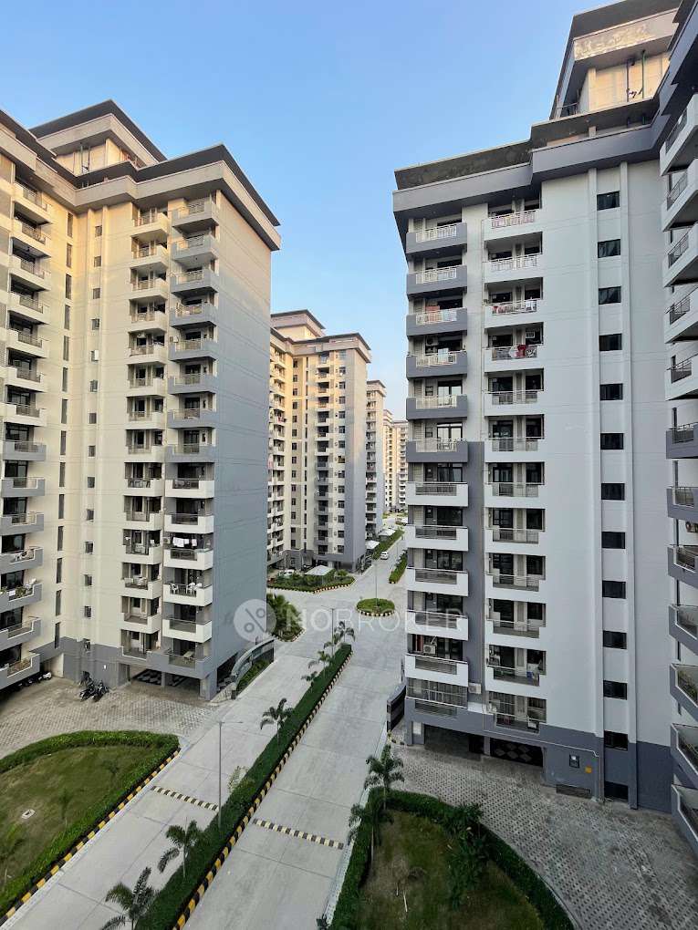 Property for rent in Sector Phi 2 for Rs 27000 available Immediately -Inactive