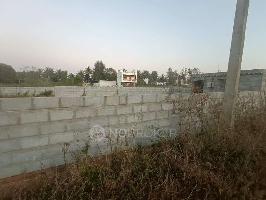 Plot/ Land for Sale in Shivakote Main Rd bangalore @ 60 Lacs - NoBroker