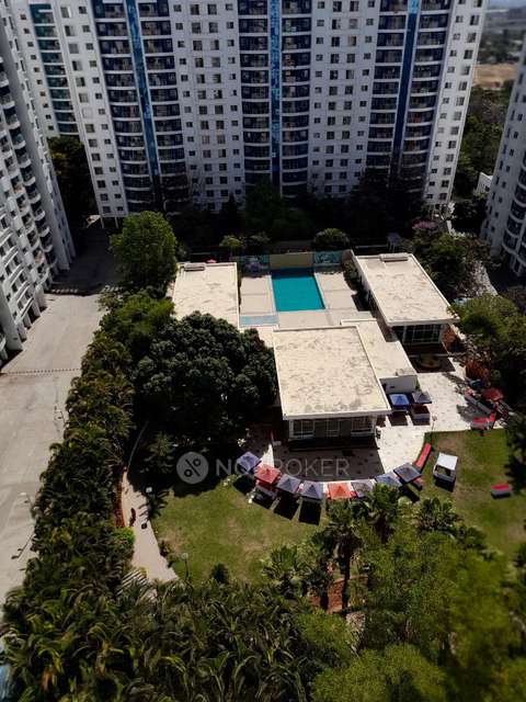 Hinjewadi Phase III Phase 3 Rent 262+ Flats for Rent Phase 3 Hinjewadi ...