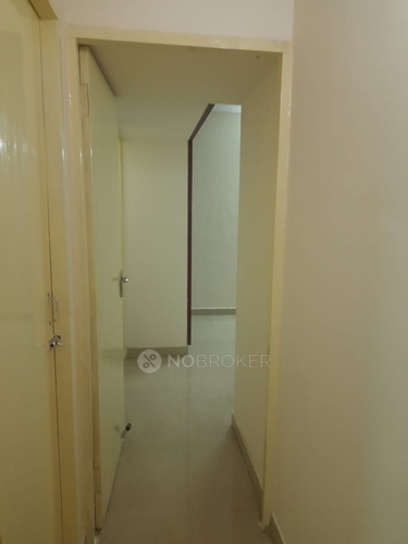 Dabc Begonia dabc, begonia,DABC Road, Polachery Rent - WITHOUT ...