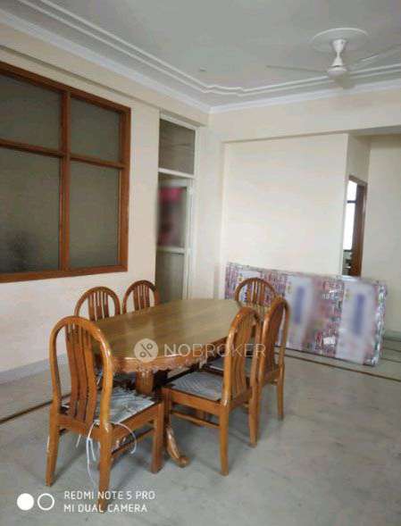 PG for FEMALE in Sector 35 for Rs 8500 available Immediately | noida ...