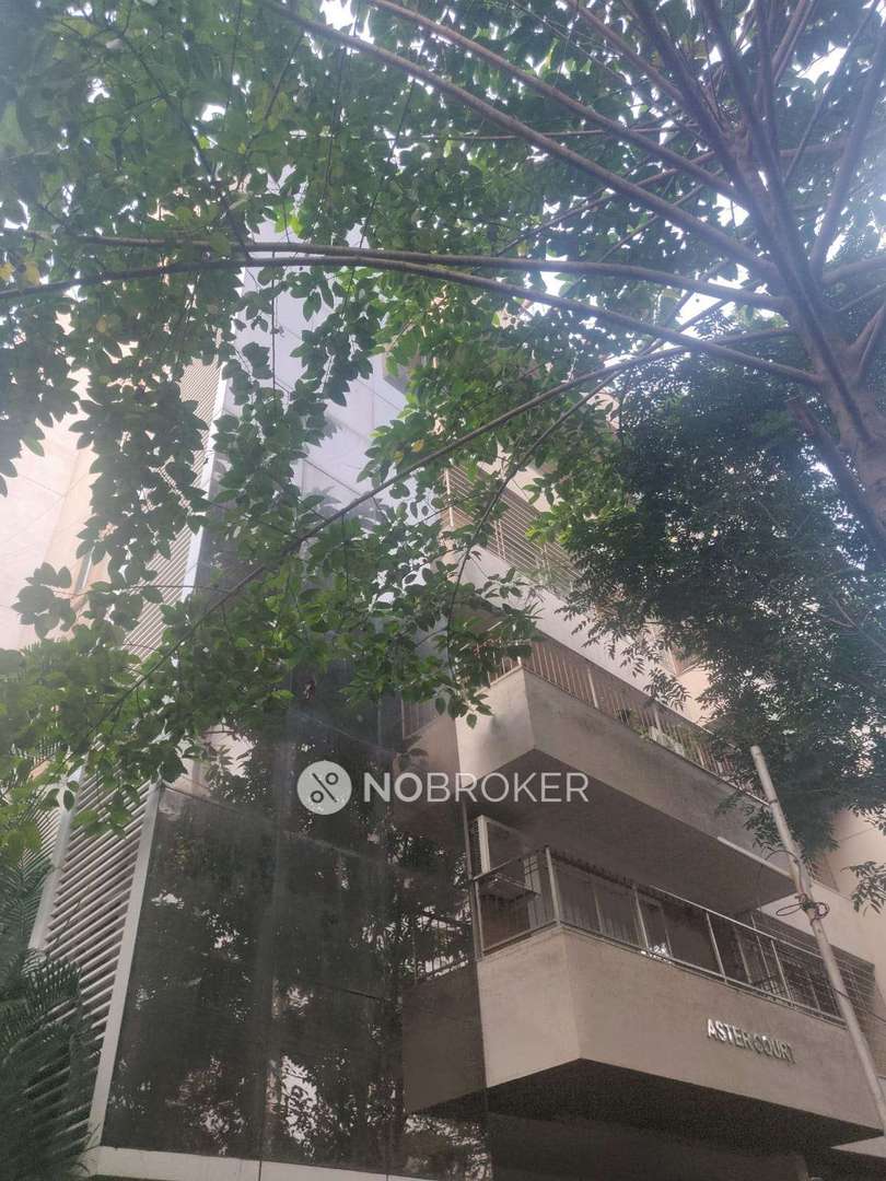 aster court Pashan - Without Brokerage Unfurnished 4 BHK Flat for Sale ...