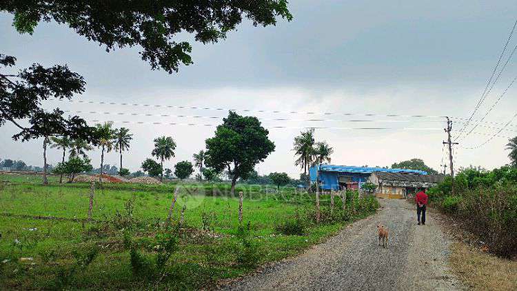 Plot/ Land for Sale in Minjur chennai @ 80 Lacs - NoBroker