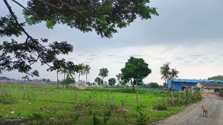 Plot/ Land for Sale in Minjur chennai @ 80 Lacs - NoBroker